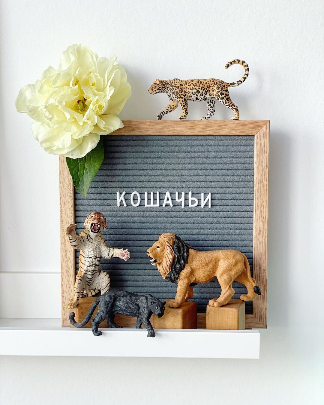 Усі котячі